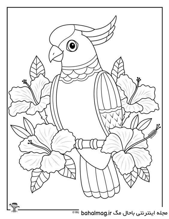 طرح نقاشی ساده طاووس ️ [ بهترین تصاویر ]