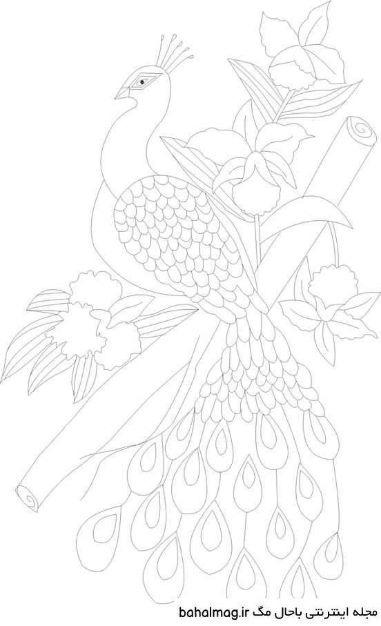 طرح نقاشی ساده طاووس ️ [ بهترین تصاویر ]