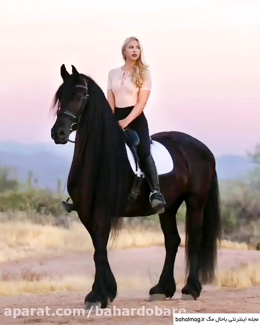 عکس اسب سواری ️ [ بهترین تصاویر ]