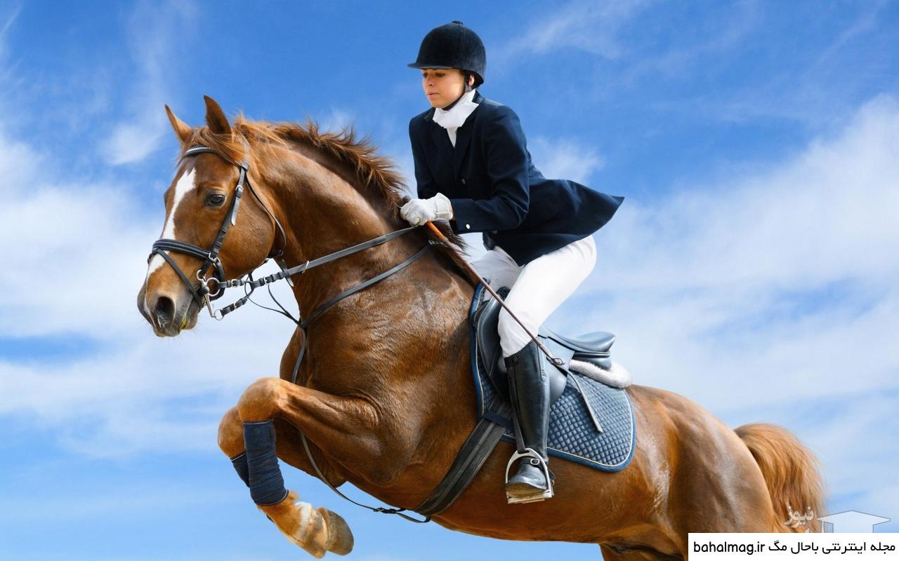 عکس اسب سواری ️ [ بهترین تصاویر ]