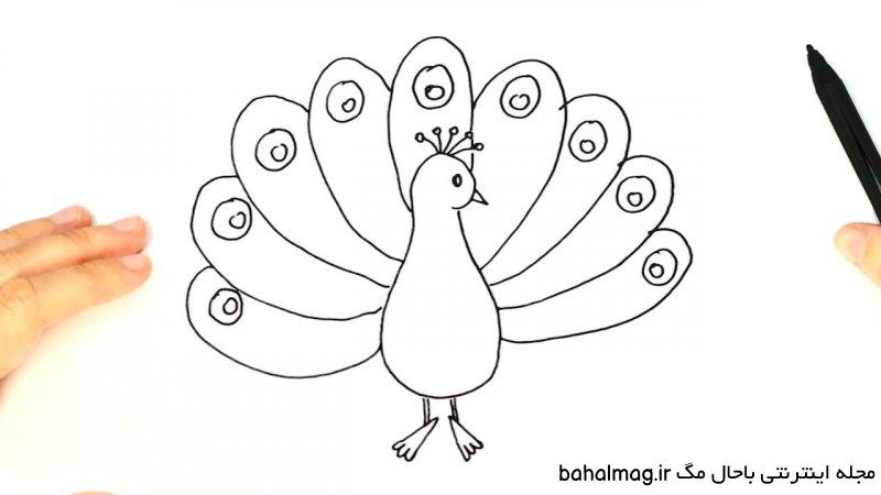 عکس طاووس نقاشی ساده ️ [ بهترین تصاویر ]