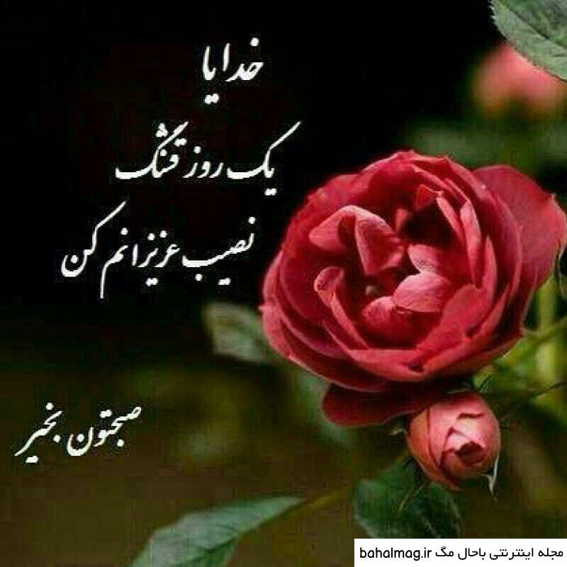 عکس های صبح بخیر زیبا ️ [ بهترین تصاویر ]