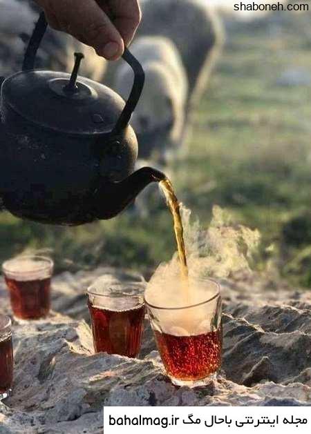 عکس چای برای پروفایل ️ [ بهترین تصاویر ]