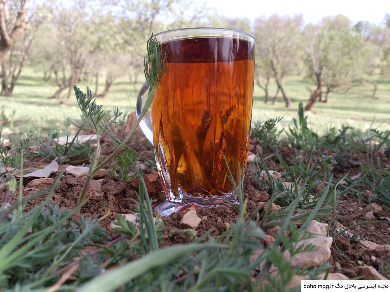 عکس چای روی آتیش ️ [ بهترین تصاویر ]