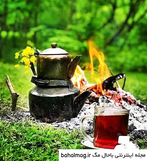 عکس چای و قوری در طبیعت ️ [ بهترین تصاویر ]