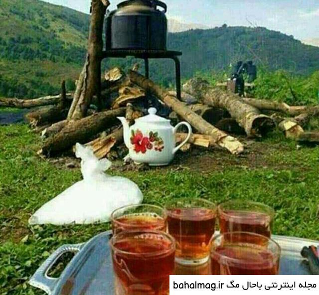 عکس چای و قوری در طبیعت ️ [ بهترین تصاویر ]