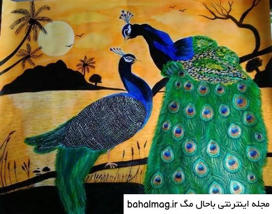 مدل نقاشی طاووس با مداد رنگی ️ [ بهترین تصاویر ]