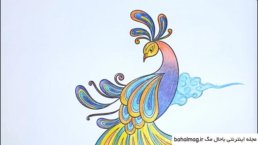 مدل نقاشی طاووس با مداد رنگی ️ [ بهترین تصاویر ]