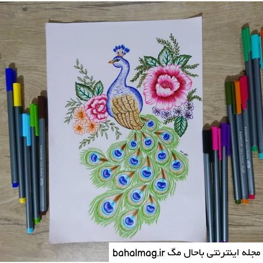 مدل نقاشی طاووس با مداد رنگی ️ [ بهترین تصاویر ]