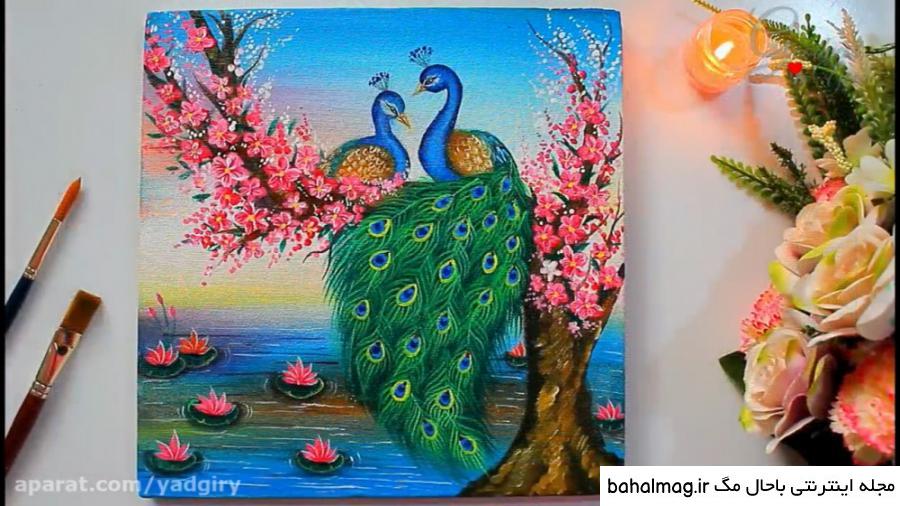 مدل نقاشی طاووس با مداد رنگی ️ [ بهترین تصاویر ]