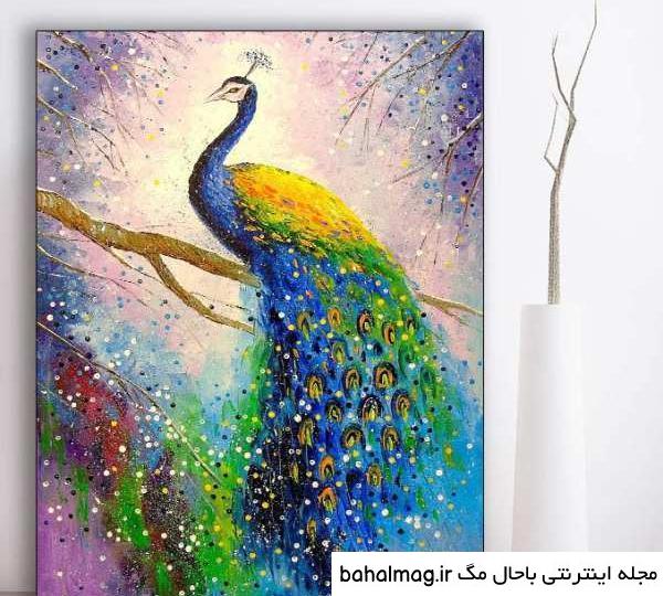 مدل نقاشی طاووس با مداد رنگی ️ [ بهترین تصاویر ]