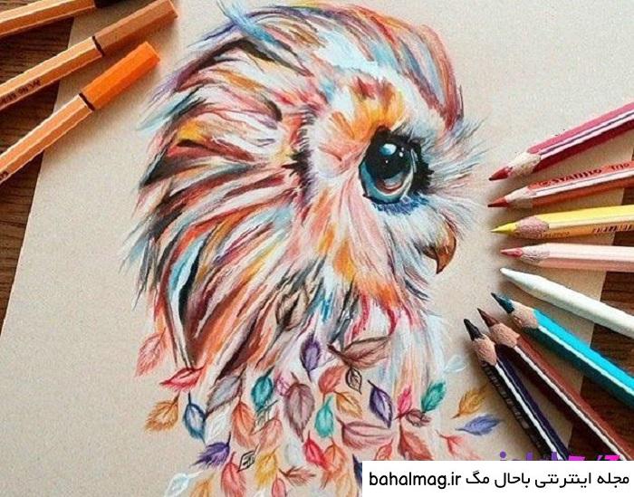 نقاشی جغد کودکانه ️ [ بهترین تصاویر ]