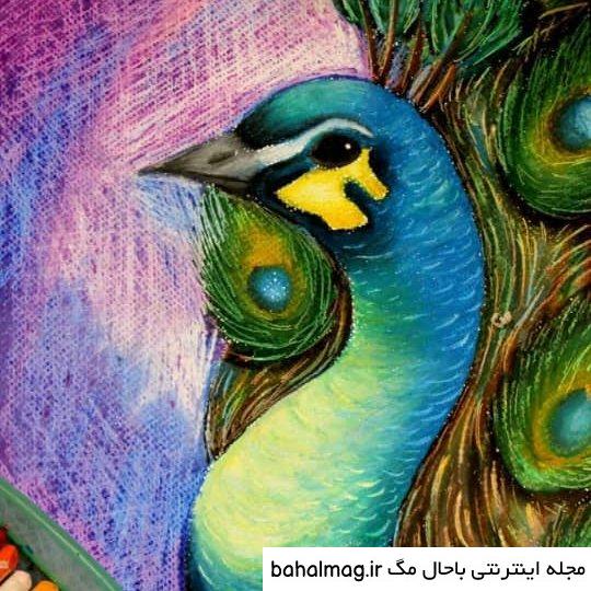 نقاشی سیاه قلم طاووس ️ [ بهترین تصاویر ]