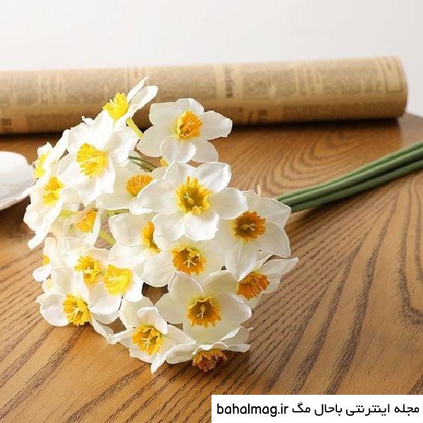 دانلود عکس گل نرگس برای پروفایل ️ بهترین تصاویر
