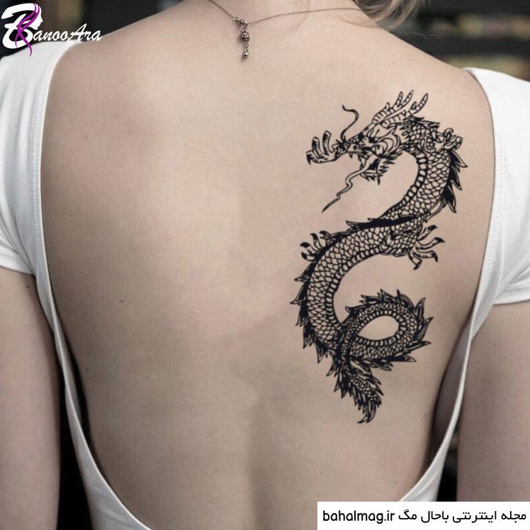 طرح تاتو اژدها ساده ️ بهترین تصاویر