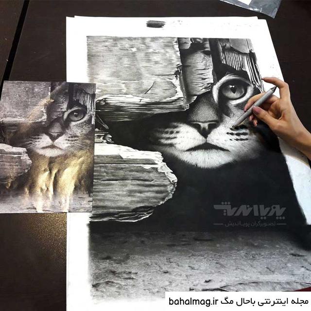 طرح نقاشی سیاه قلم گربه ️ بهترین تصاویر