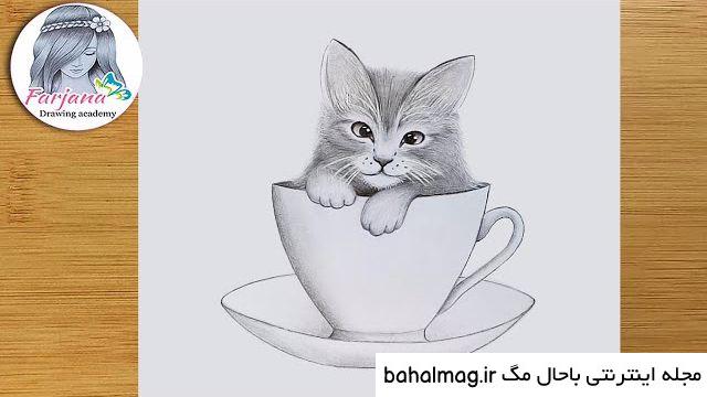 طرح نقاشی سیاه قلم گربه ️ بهترین تصاویر