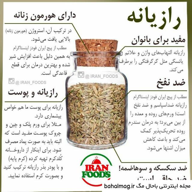 عکس رازیانه و خواص آن ️ بهترین تصاویر