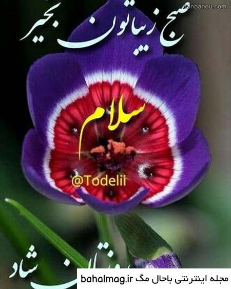 عکس سلام صبح بخیر گل ️ بهترین تصاویر
