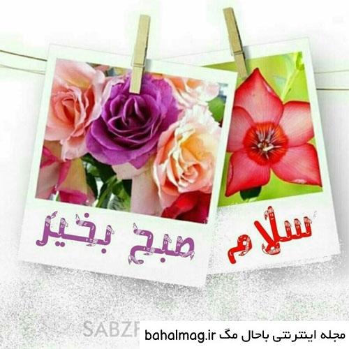 عکس سلام صبح بخیر گل ️ بهترین تصاویر