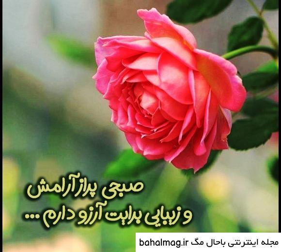 عکس سلام صبح بخیر گل ️ بهترین تصاویر